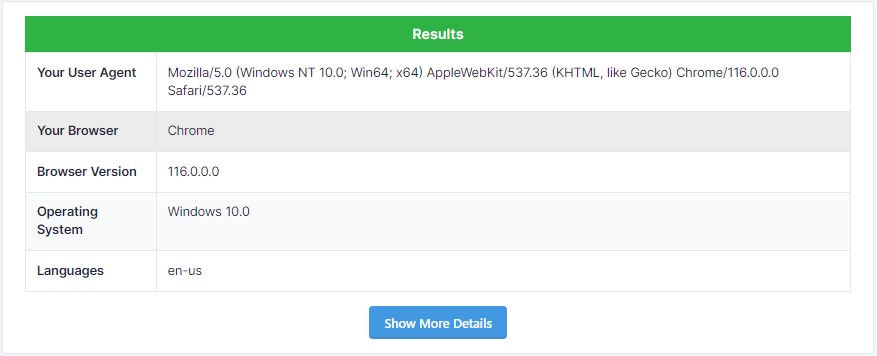 What Is My User Agent - SEO Converter